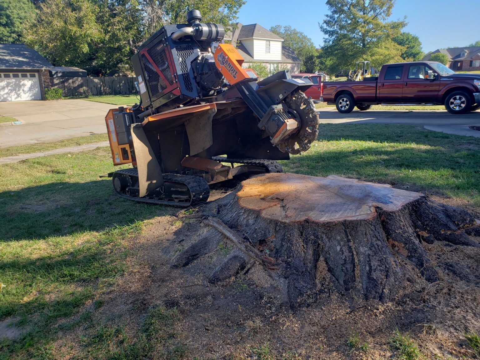 Stump Grinding - Easy Tree Service